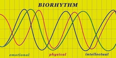 Meer resultaat en efficiënter? Benut je bioritme!