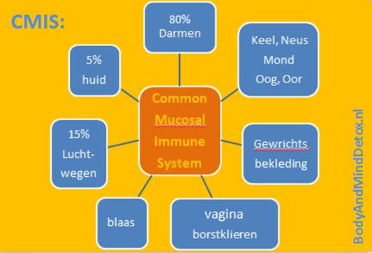 Taal van het lichaam: Slijmvliezen (Deel 2)